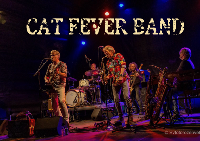 Cat Fever Band - Het Drentse Landschap